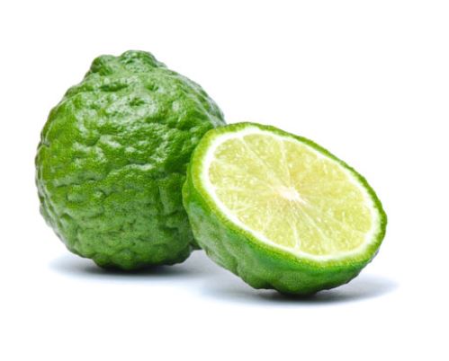 doTERRA Bergamotte ätherisches Öle